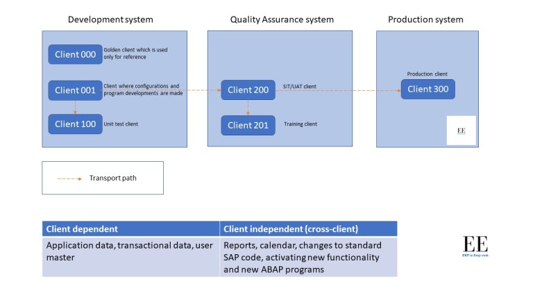 What is SAP Client? – ERP is Easy