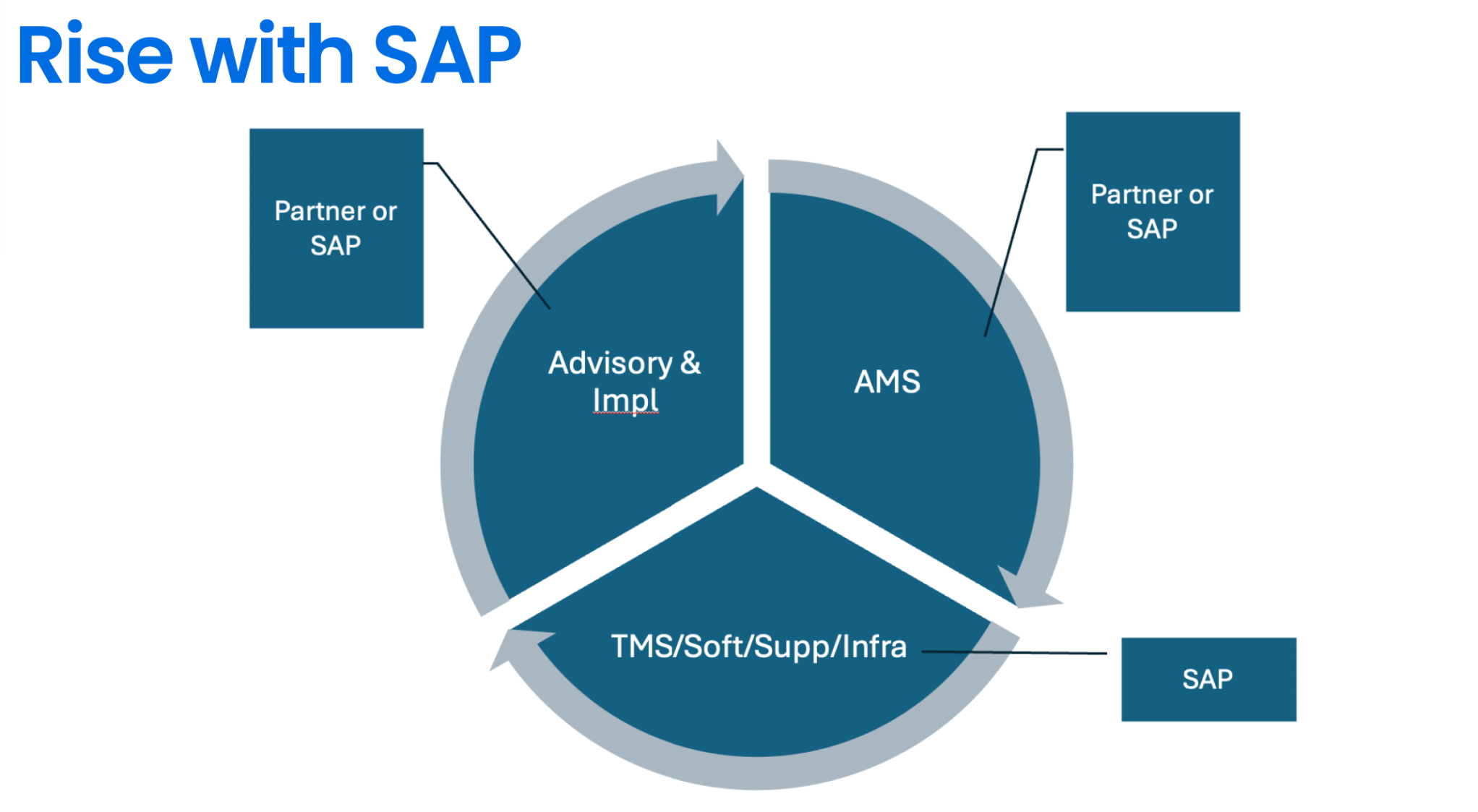 What is Rise with SAP? – ERP is Easy